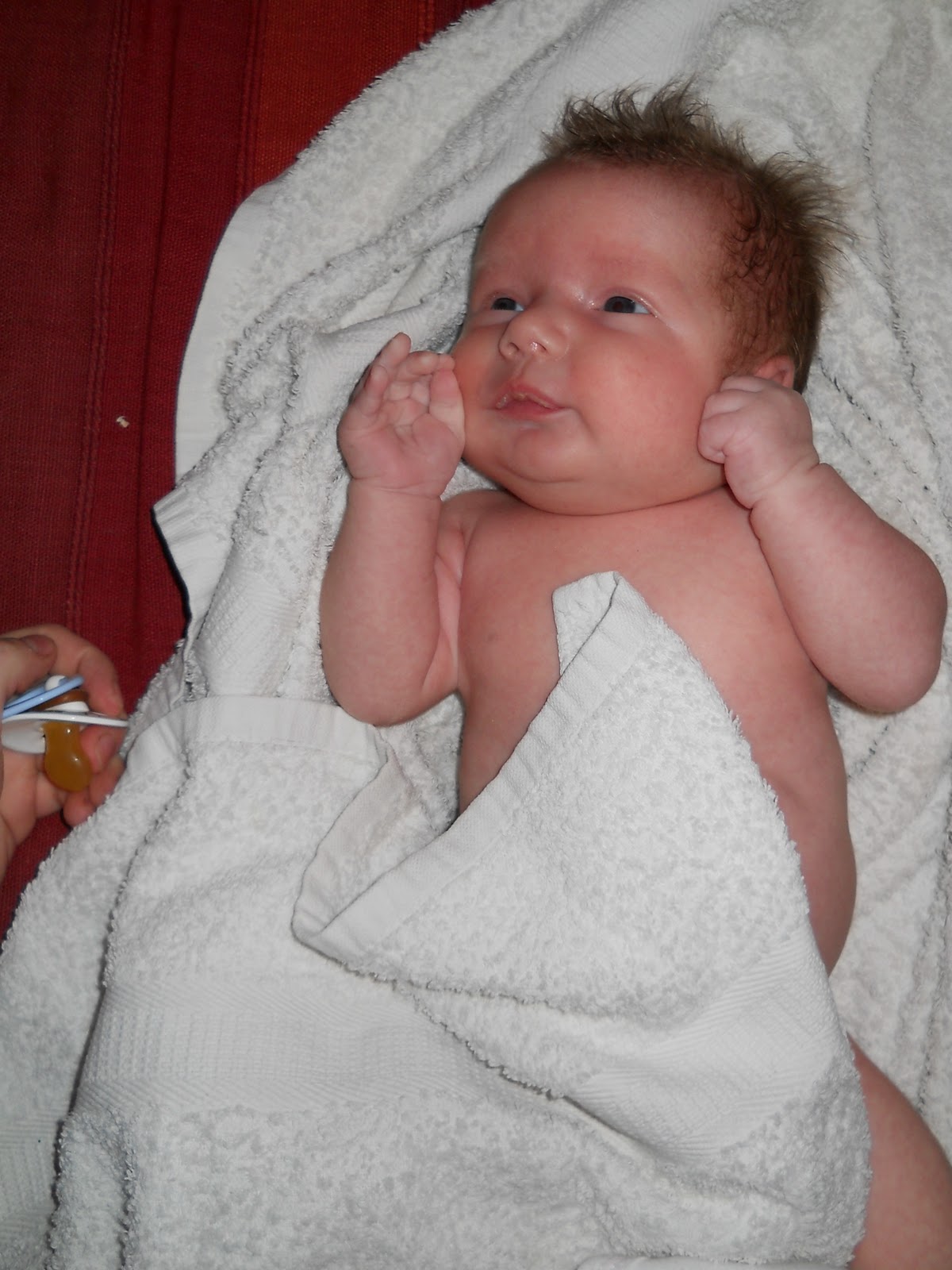 Lumea lui Prichindel: Poze cu prichindei!