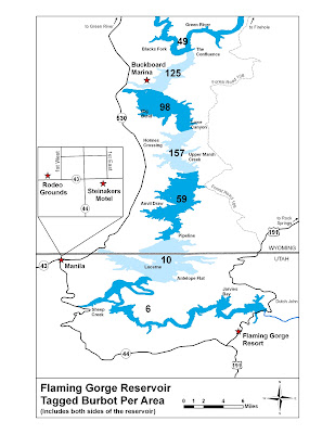 Backcountry Utah's Outdoor Adventure Journal: Map Revealed for Flaming ...