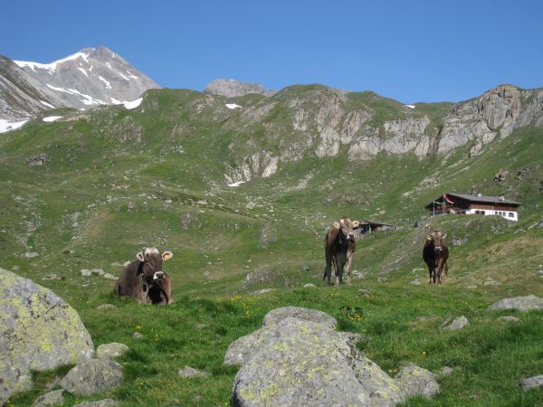 ALP-TRÄUME Südtirol: Piz Rims, 3070 m