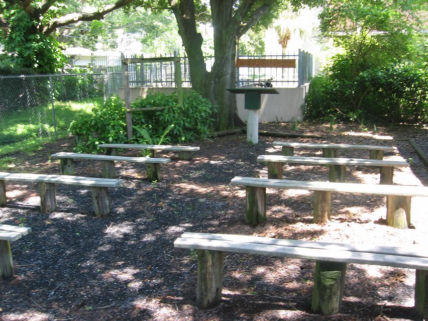 Hastings School Playground Design: An outdoor classroom