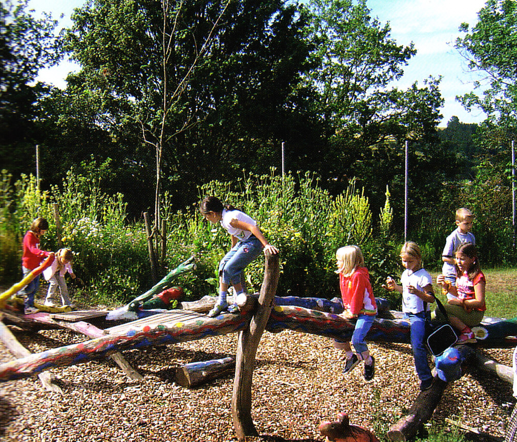 Hastings School Playground Design: Logs for climbing