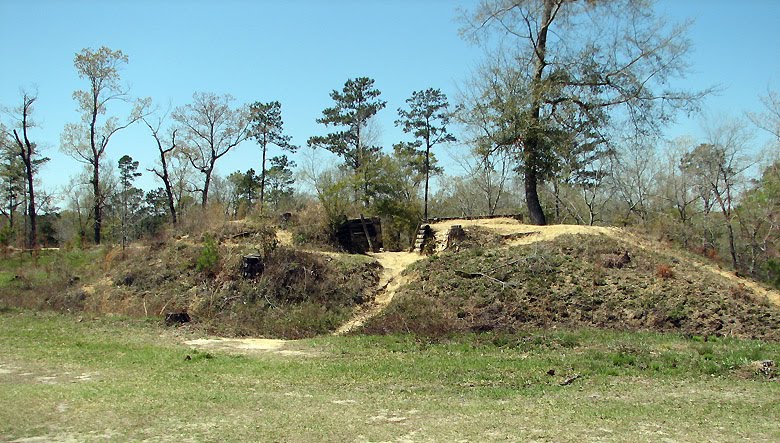 Reflections From the Fence: 2009-10 Winter Tana Tour, Blakeley State Park