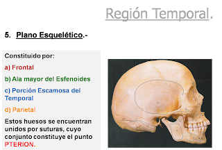 novadens.- Servicios Odontológicos.: Región Temporal.