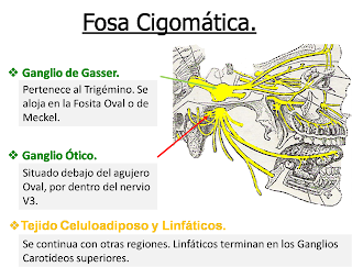 novadens.- Servicios Odontológicos.: Fosa Cigomática.