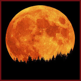 Danu's Daughter: The Sacred Month of October