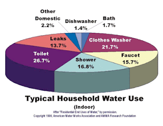 Water Works: Water Usage and Waste
