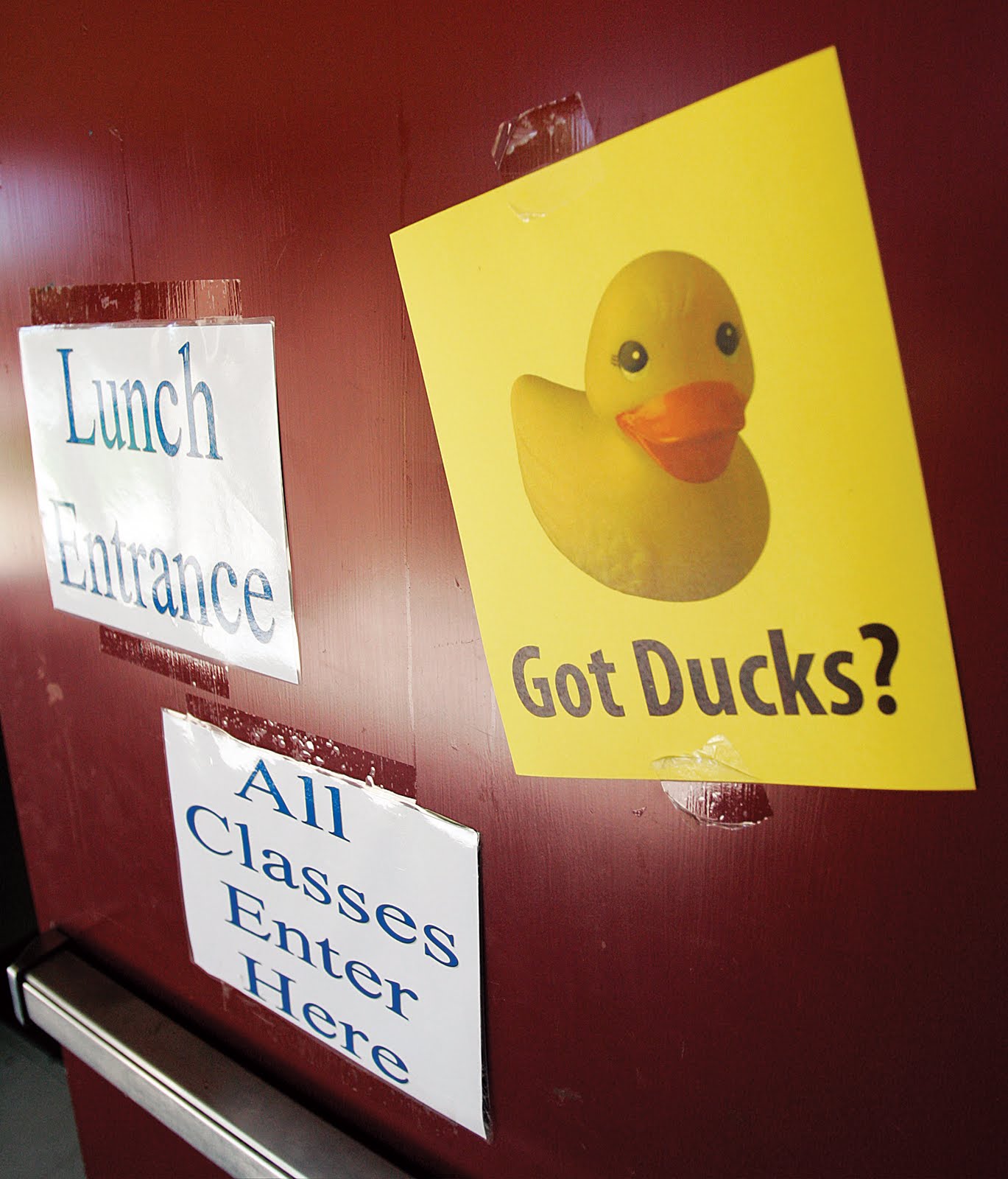 Snapshots: Got duck?