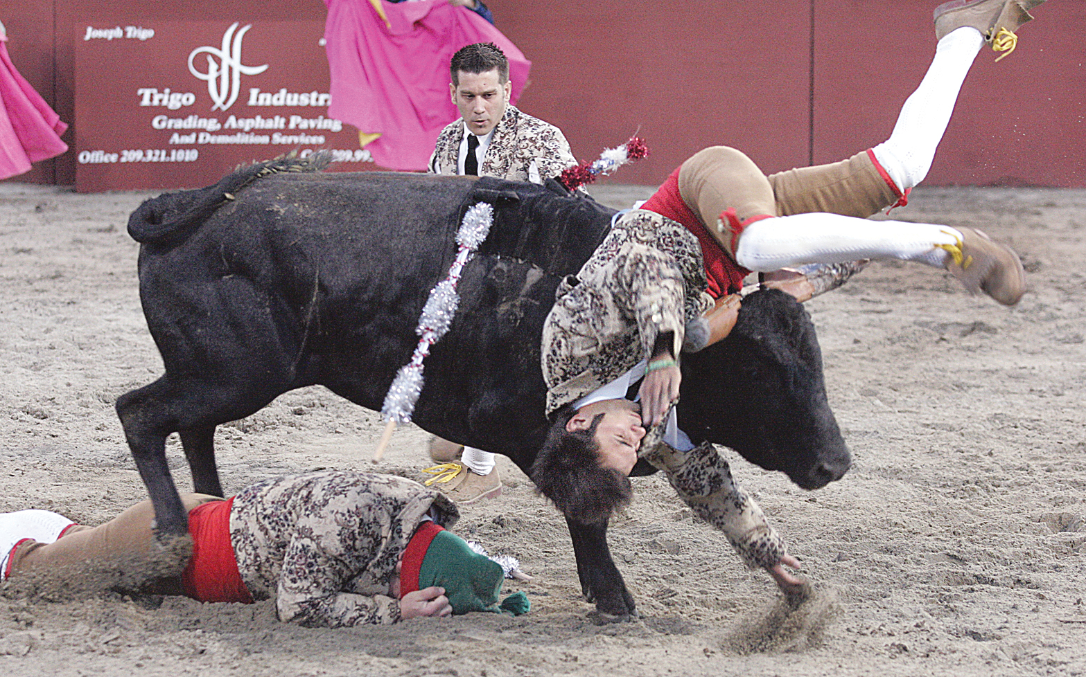 Snapshots: The Year In Review; "Olé!"