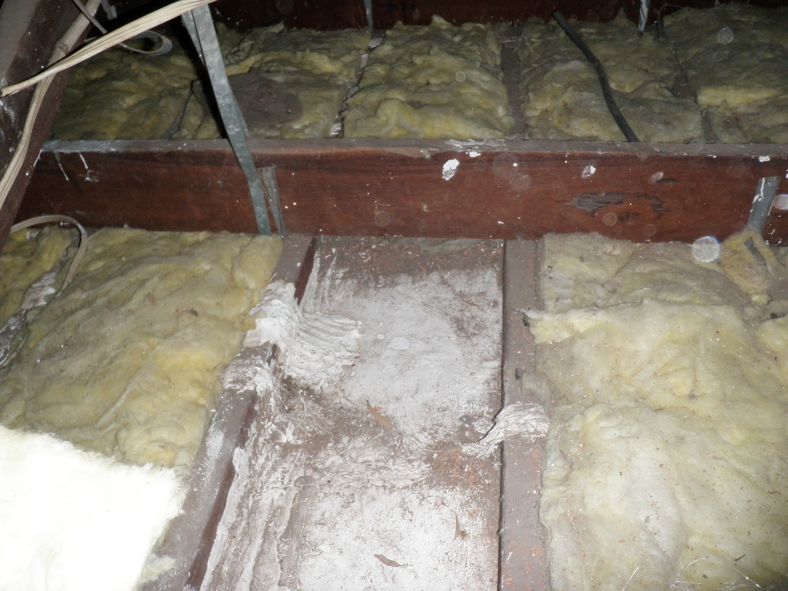 Jarrah Jungle: DIY Ceiling Lifting