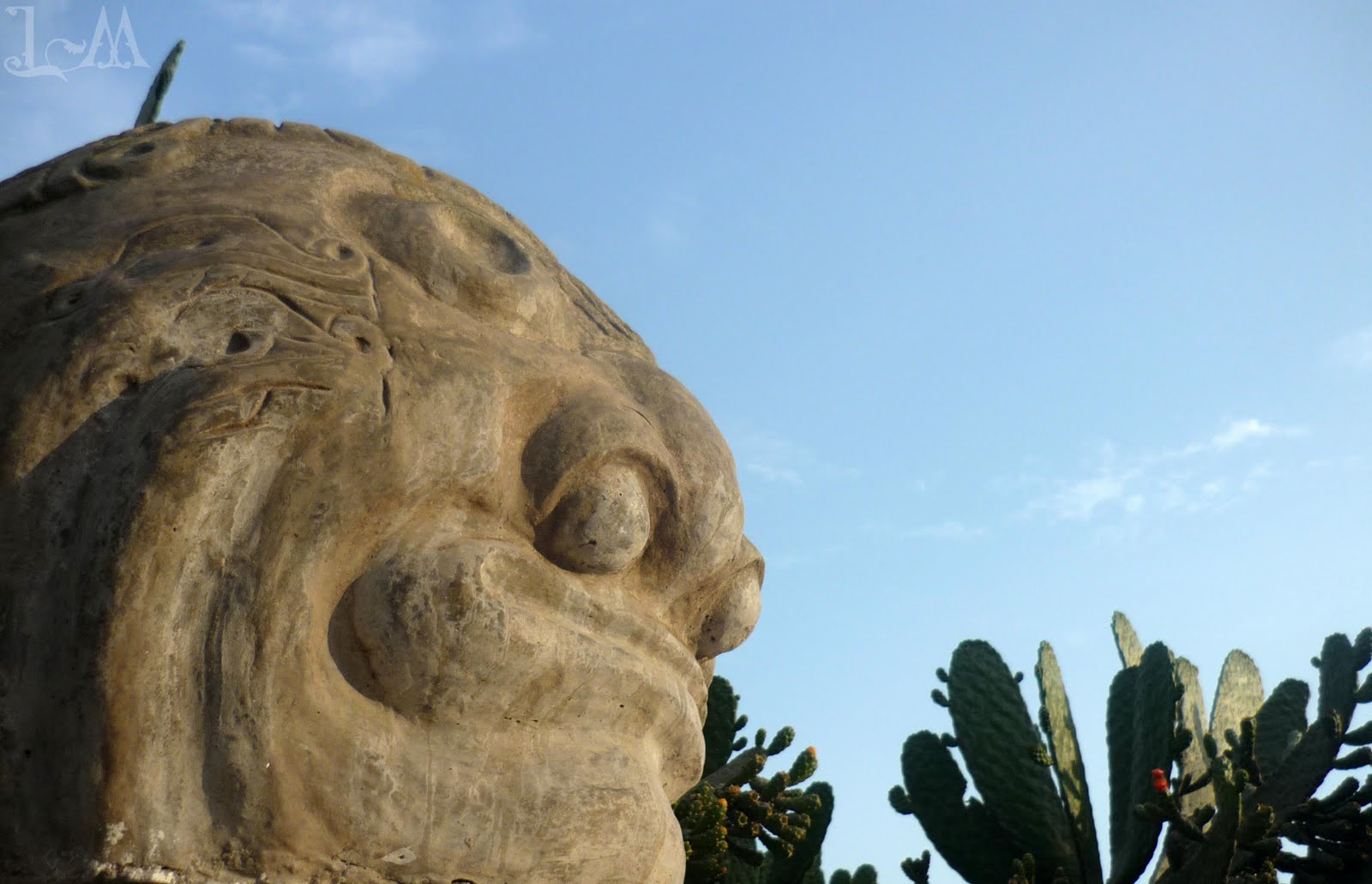 Memorias de la Manzana: Mis fotografías: Cabezas clavas