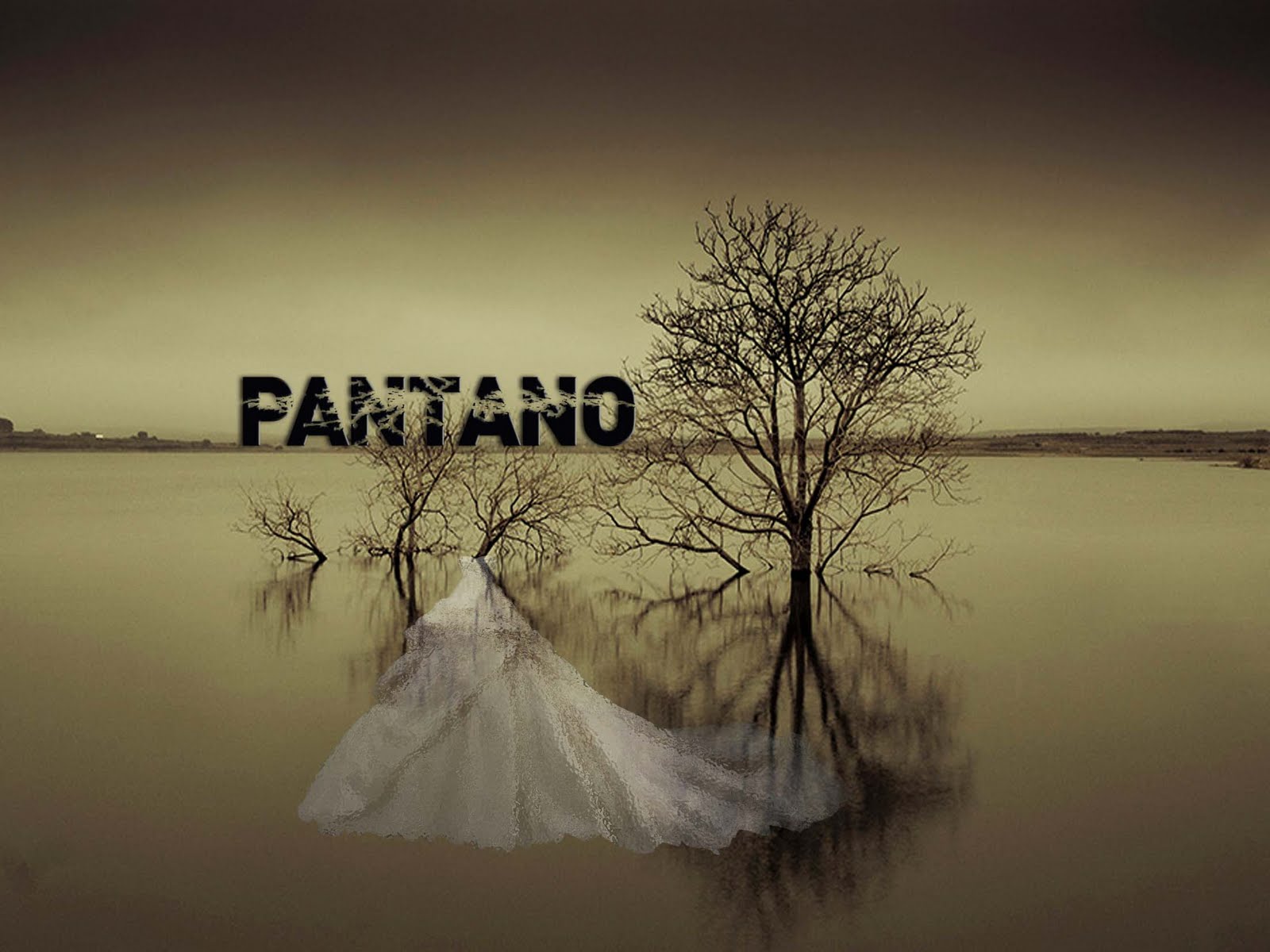 Proyectos de actores de AEBA: PANTANO