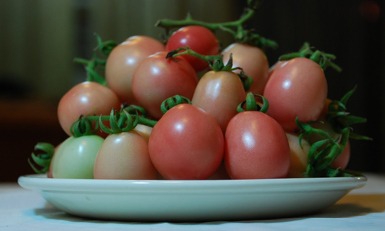 My little vegetable garden: The joy of a harvest.
