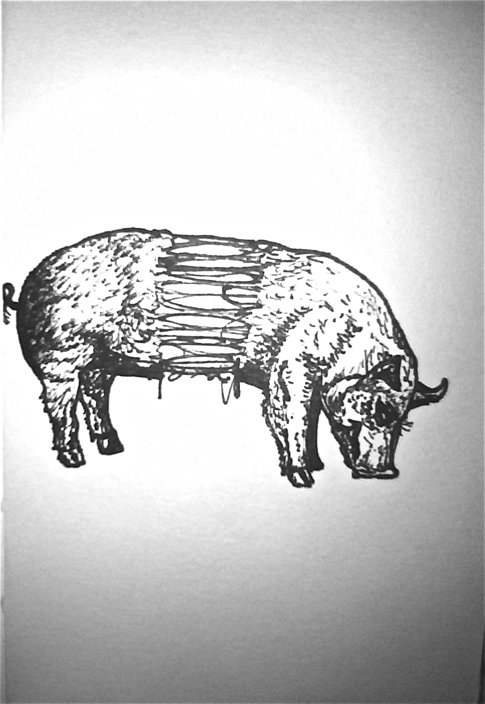 lindsayhawkart: fine point and ultra-fine point sharpie sketches