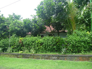 Julie's Bali Adventure: An amazing weekend in Blimbing Sari