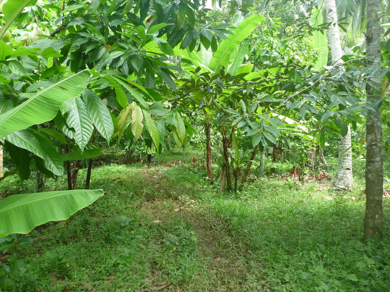 Julie's Bali Adventure: An amazing weekend in Blimbing Sari