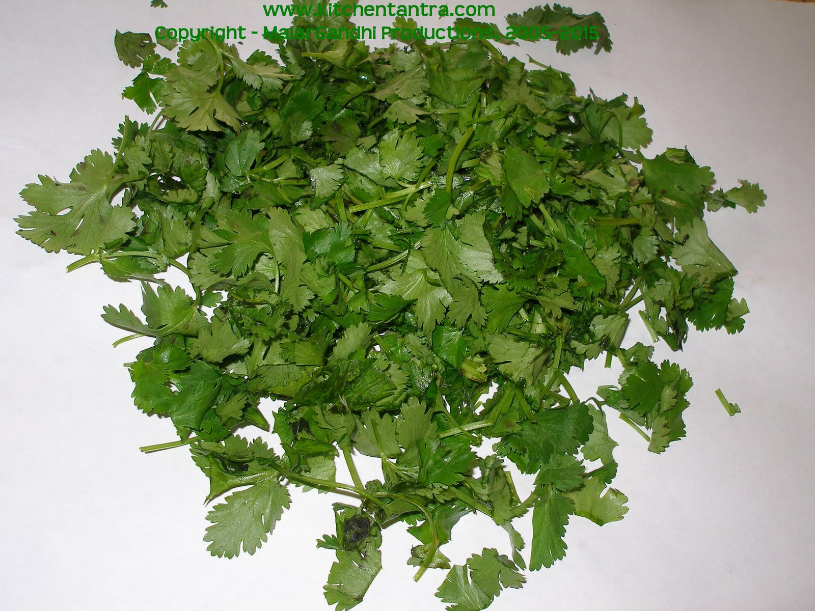 Kothamalli Thokku / Cilantro Pickle – Grandma’s Style | Kitchen Tantra