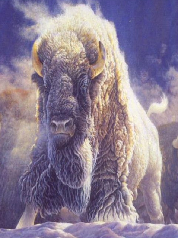 White Buffalo Calf Woman Sings: Warriors Stand Up! The Wolves: Rainbow ...