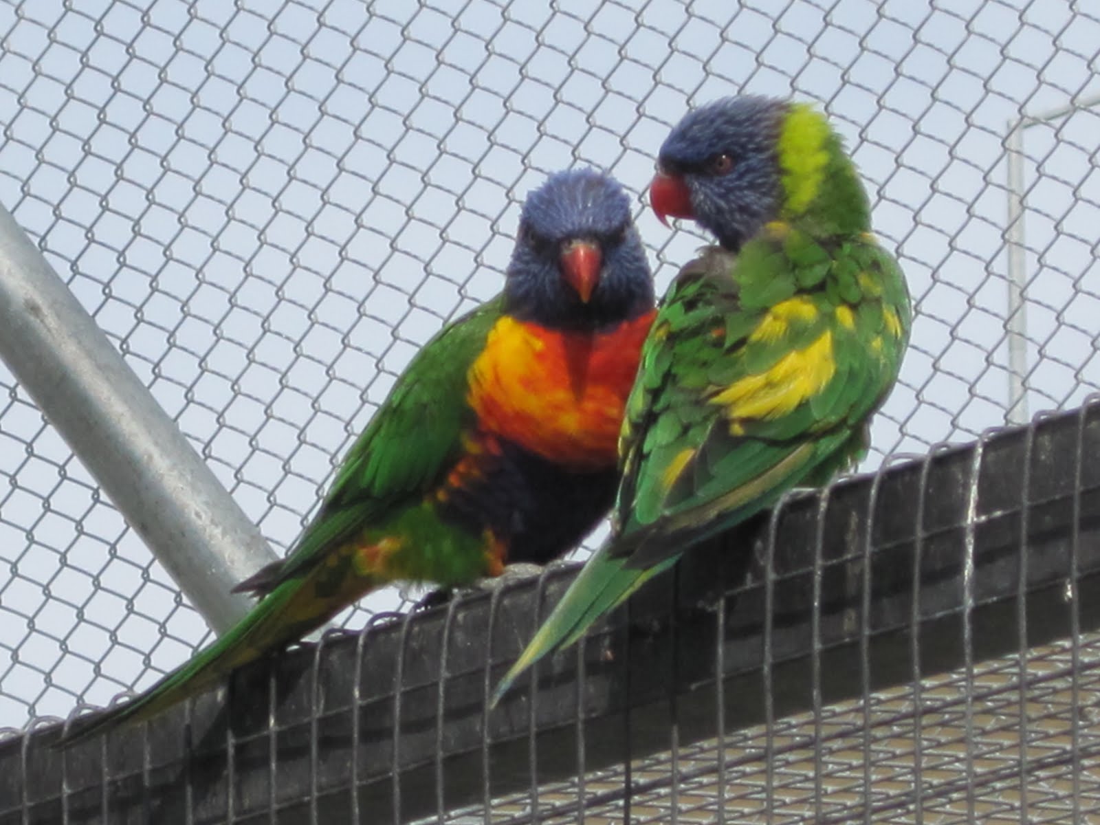 Williams Family Adventure: Timaru