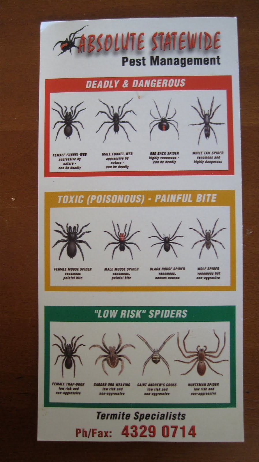 Williams Family Adventure: Soccer and Soldiers Beach at Norah Head