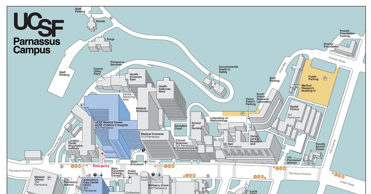 Life In Color: Economical & Cheerful