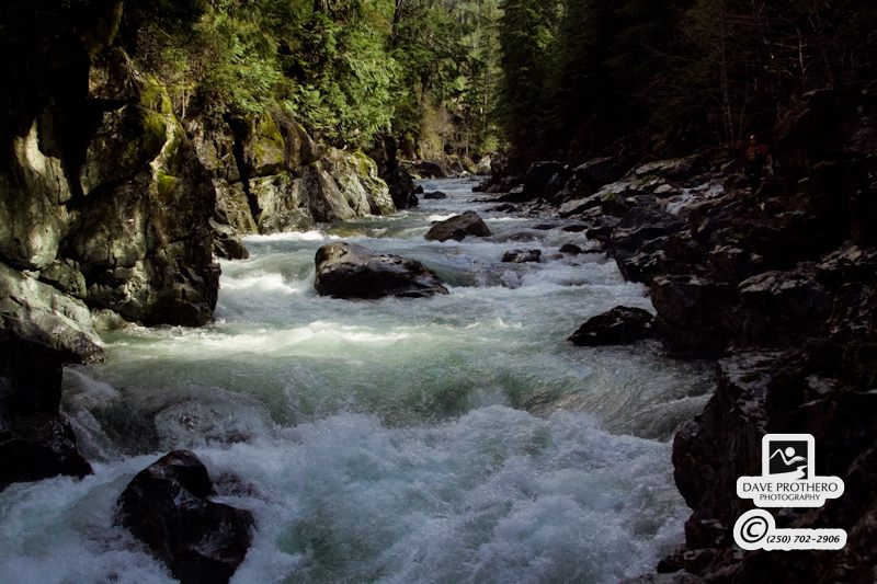 Rafting Life: Vancouver Island Classic…..Gordon River