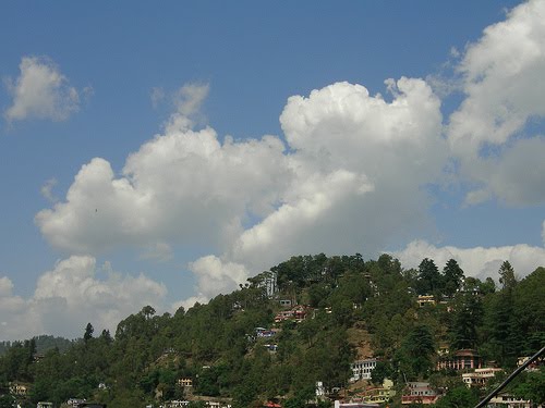 Binsar: Binsar- The heaven on Earth