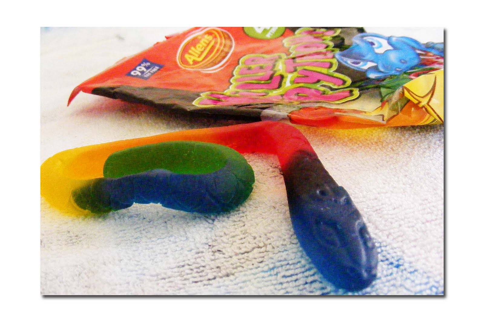 Random photo day: Magnificent chromodoris : r/australia