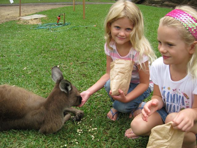 The Anscombe Four: Australian Animal Antics!