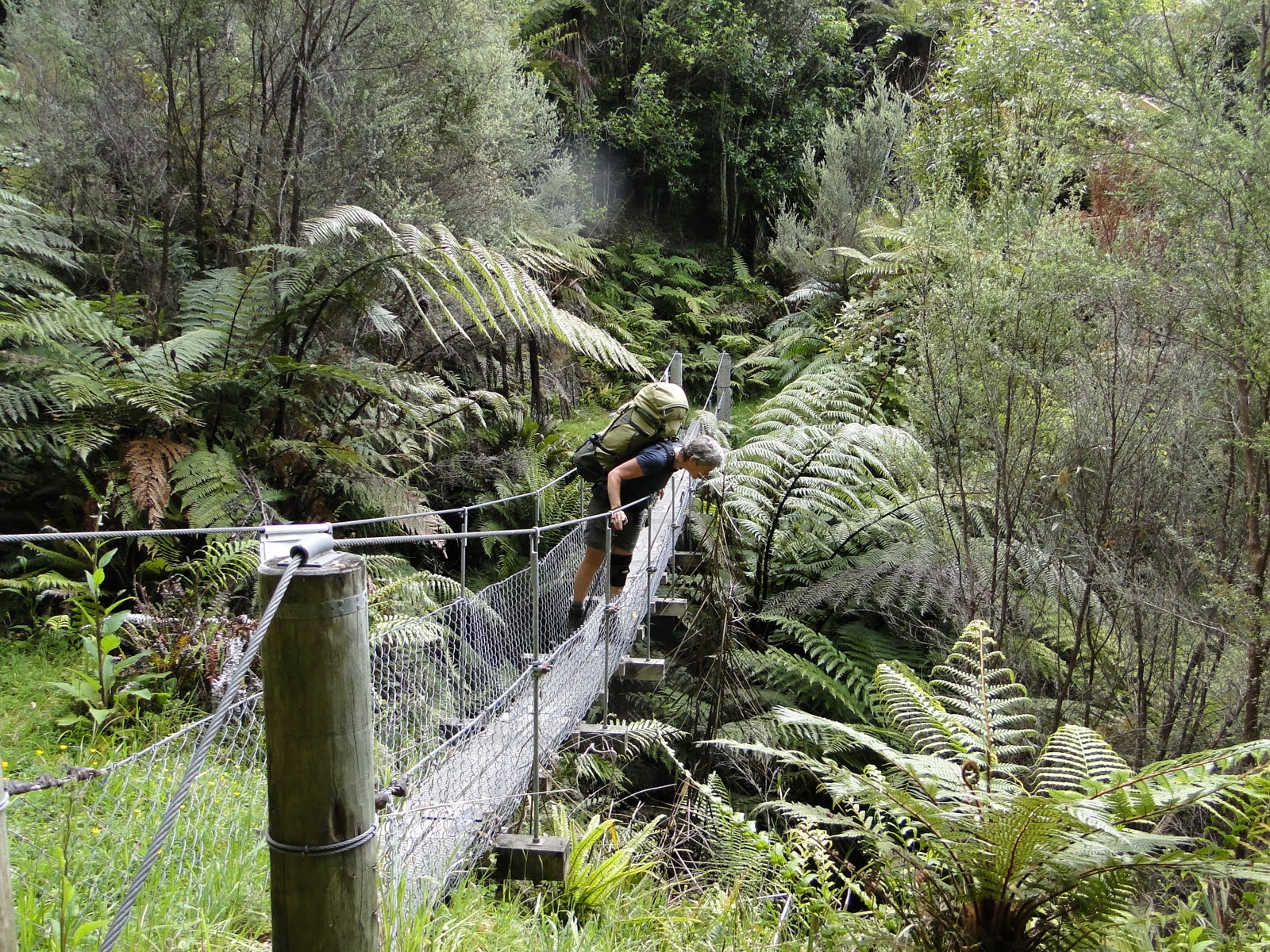 Kowhaiz: Matemateaonga Track, Whanganui National Park day 1 Nov 2010
