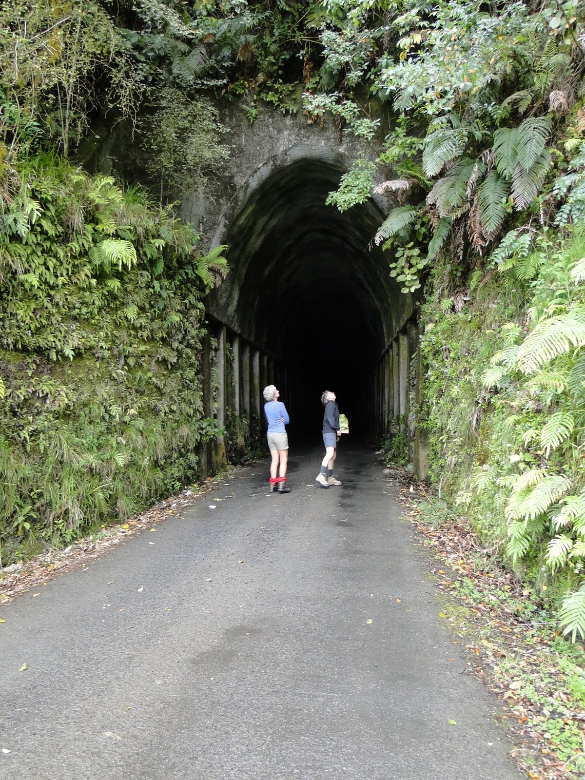 Kowhaiz: Matemateaonga Track, Whanganui National Park day 1 Nov 2010