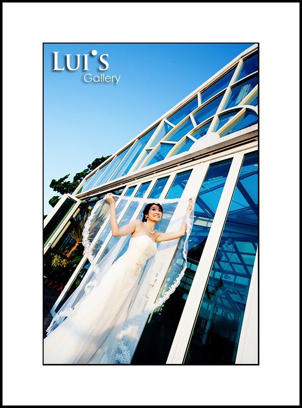 Hong Kong Wedding Photographer - CaLvin Lui of Lui's Gallery