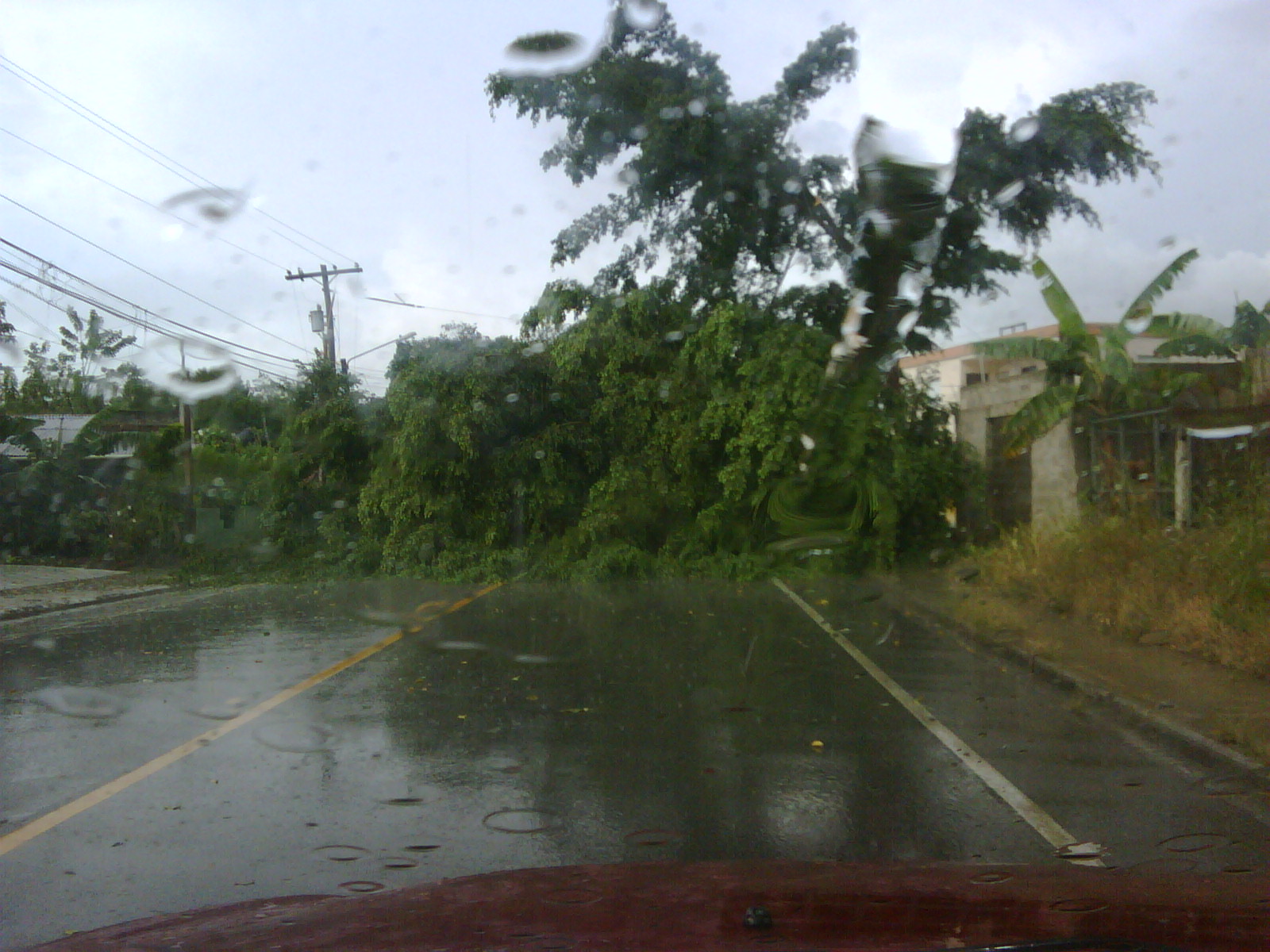 D' MOCA PARA EL MUNDO: Ventaron en Arenoso La Vega R.D.