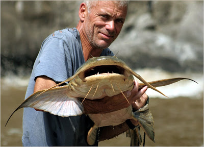River Monster - Goonch Catfish | Gambar Menarik