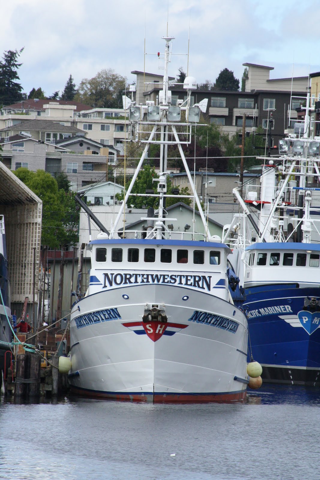 Sleepless in Seattle