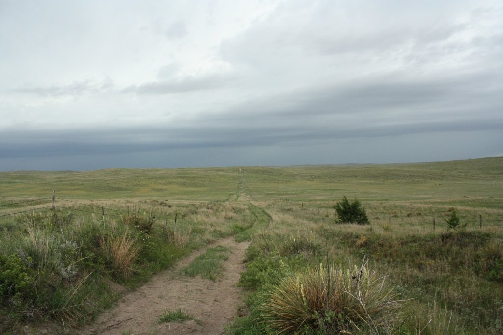 Nebraska Beautiful