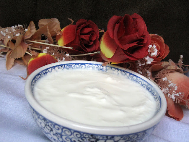 Making Your Own Yogurt and some ways to use it | Journey Kitchen