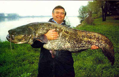 With Both Hands: Polish Catfish Are in Illinois Waters!!!!! Save the ...