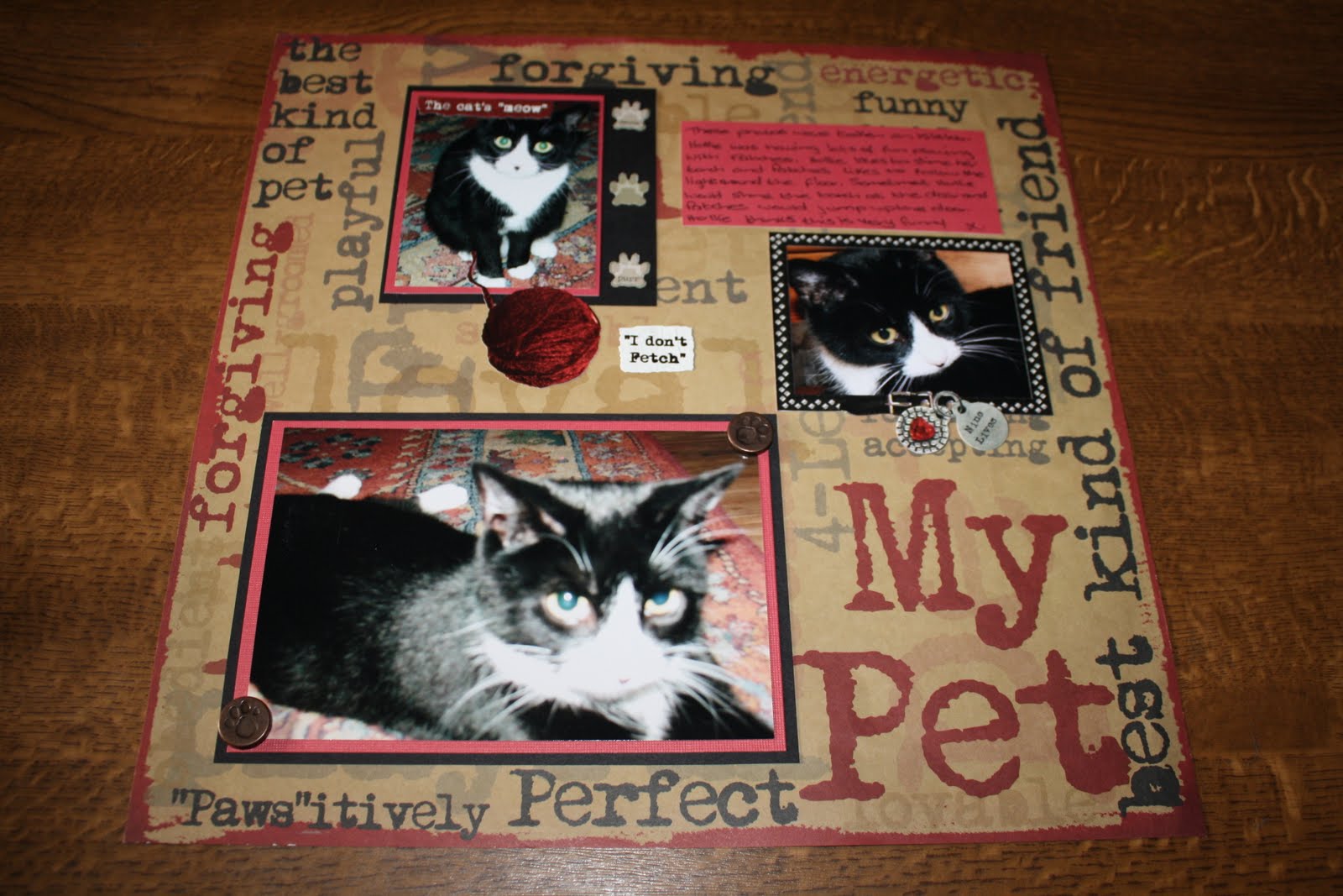 Scrapbook Ideas For Cats at Ana Means blog