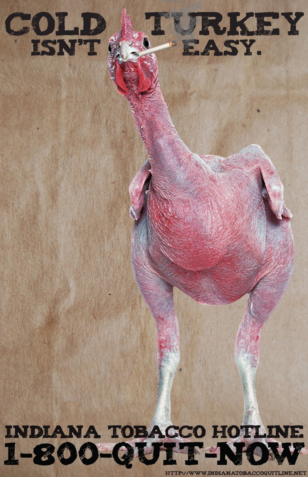 Holy Sketches and Artwork, Batman!