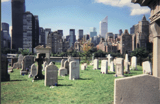 Roosevelt Islander Online: 10/12/08 - 10/19/08