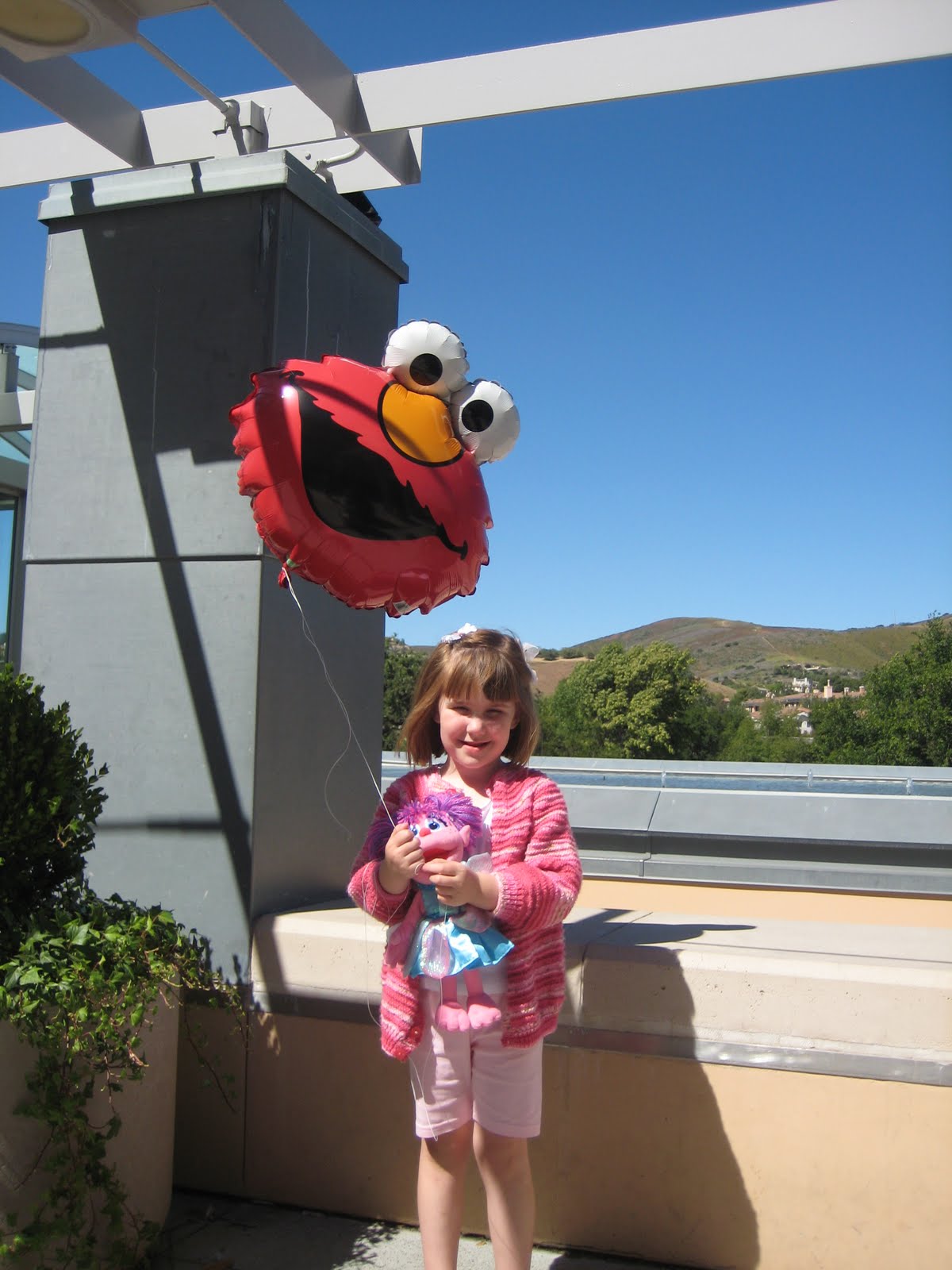 Catherine's World: Sesame Street Live