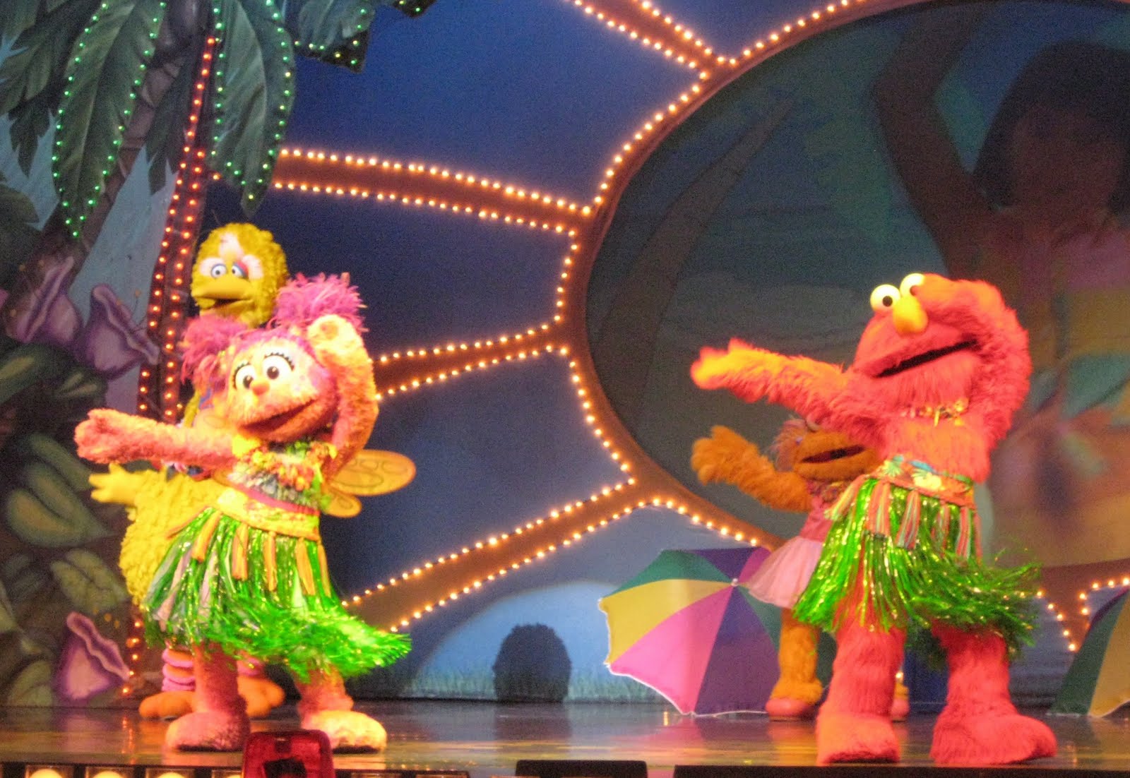 Catherine's World: Sesame Street Live