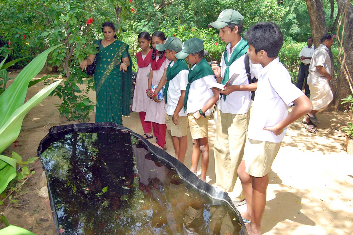 My innovative classroom: Vermiculture Project-Photos