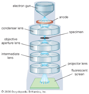 Electron Microscopes
