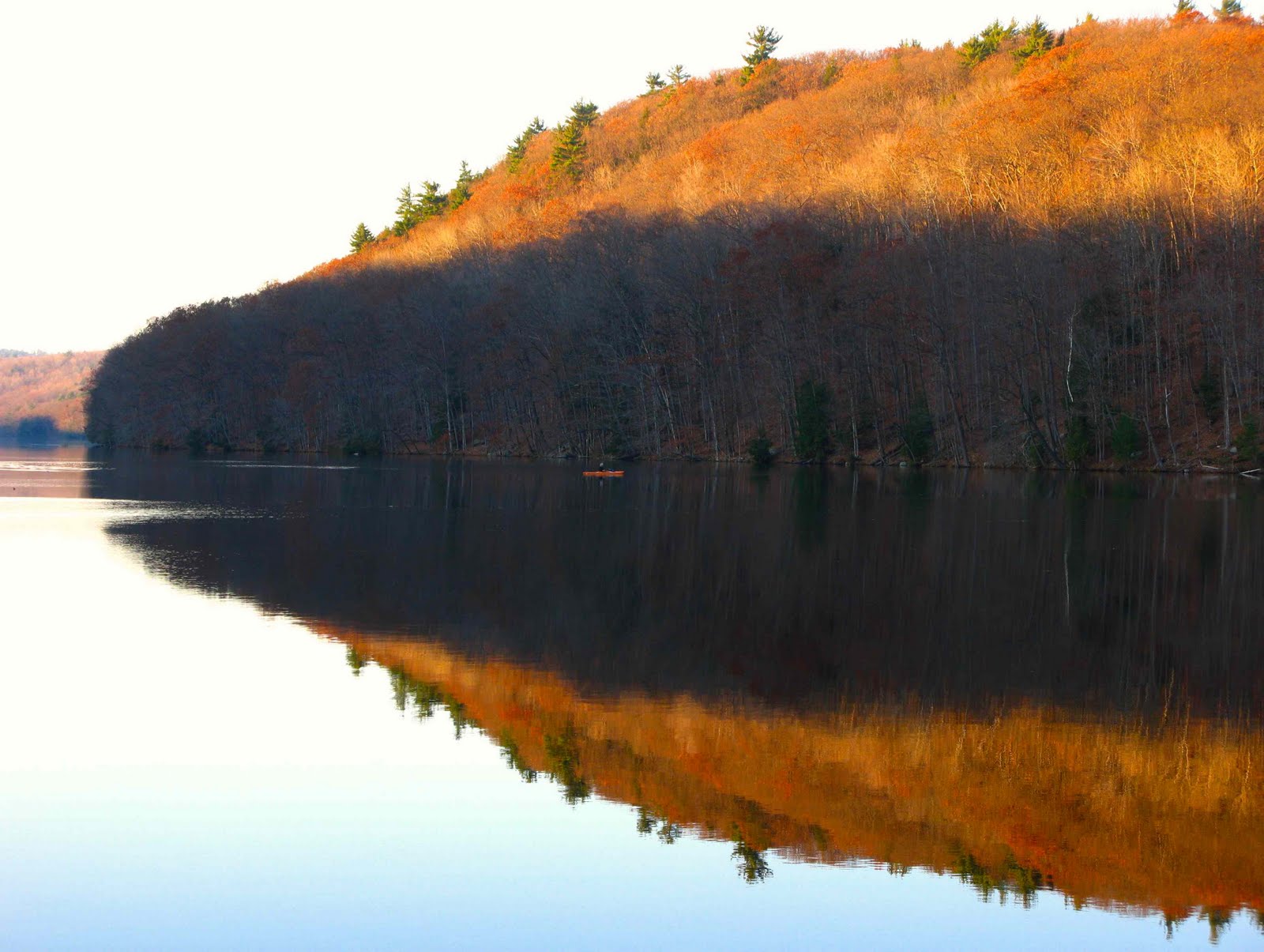 Saratoga woods and waterways: Scenic Landscapes of New York