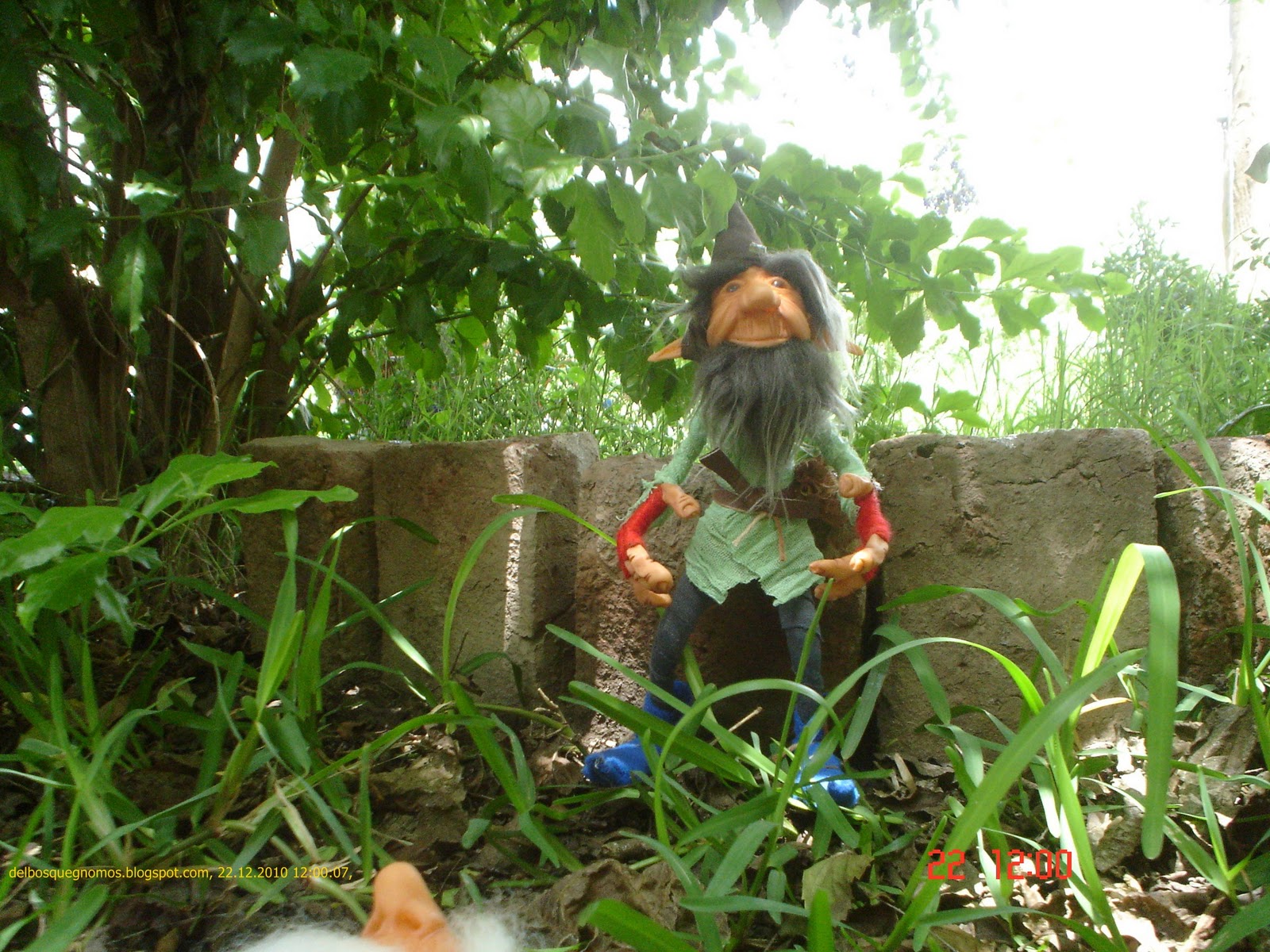 Gnomos del Bosque: Gnomos Articulados