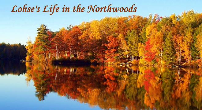 Lohse's Life In The North Woods