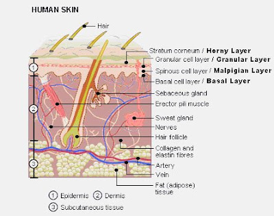 Healthy Skin Solutions