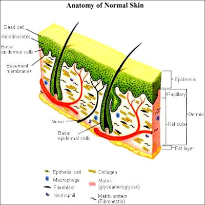 Healthy Skin Solutions