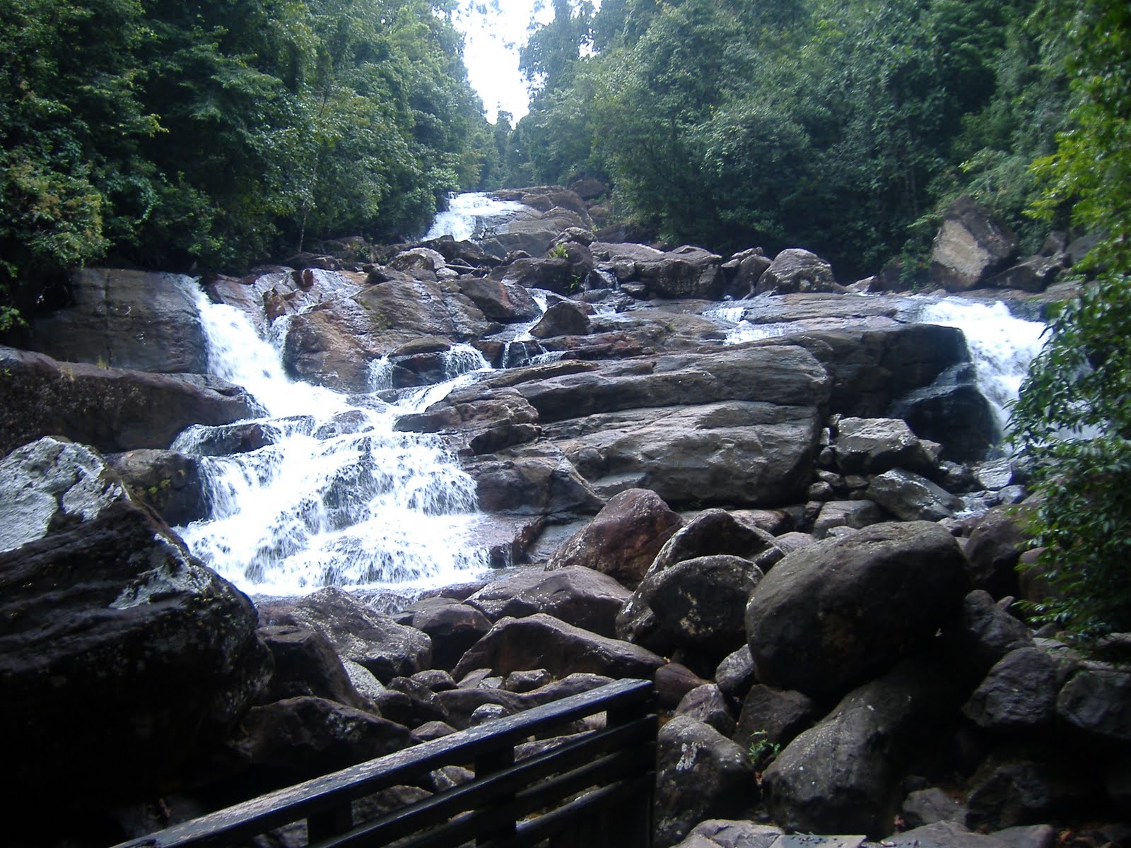 Kannaliya Rain Forest: Kanneliya Water Falls